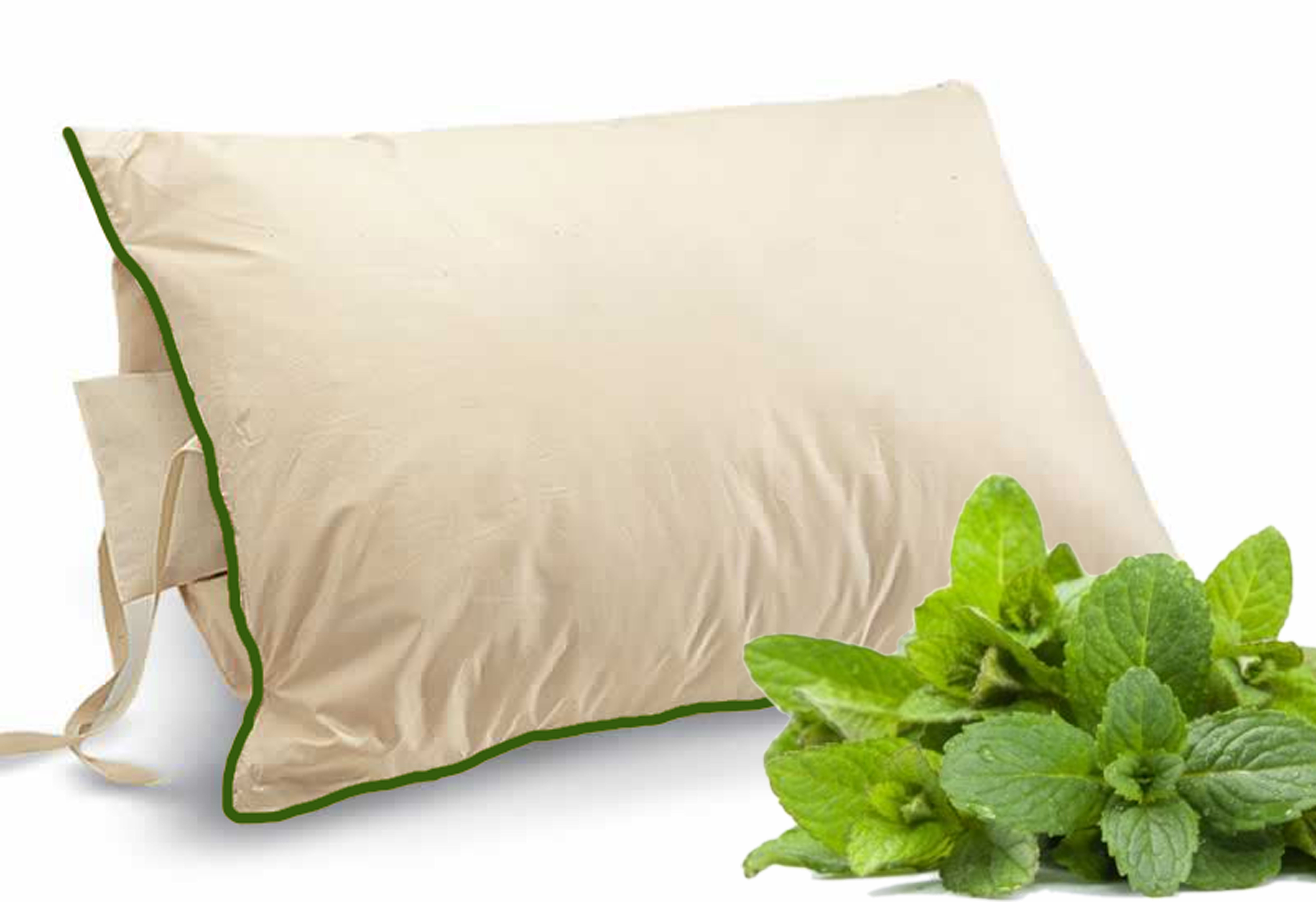 Borsmenta - Alváslexikon